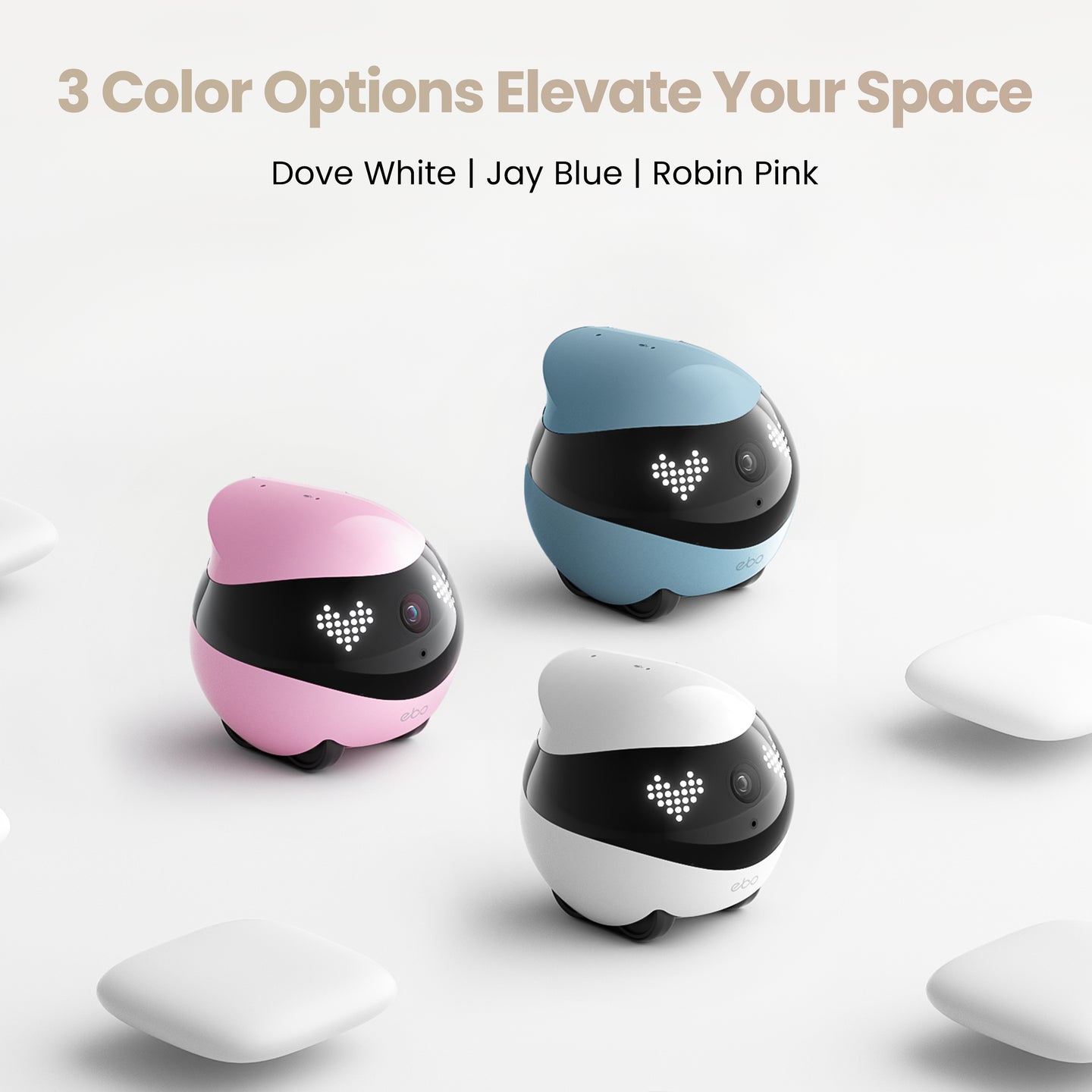 Home Robots – Enabot Store