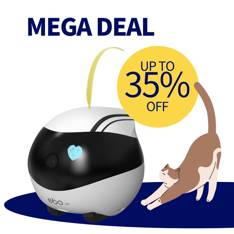 EBO Air AI Pet Robot-Movable 1080P Remote Control Camera-Auto Pets Toy ...