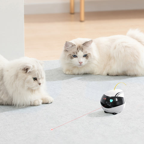 Home Robots – Enabot Store
