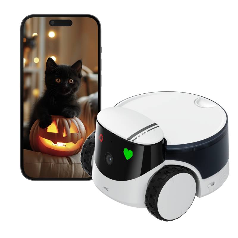ROLA PetPal Robot Pet Companion-Dogs& Cats Camera with Interactive Toys ...