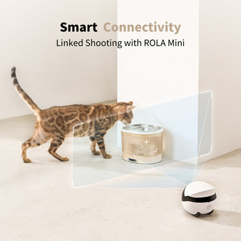 Enabot Official Store-Smart Home Robots, Movable Pet Cameras, Pets ...