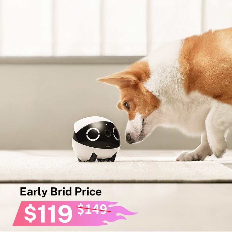 Store – Enabot Store