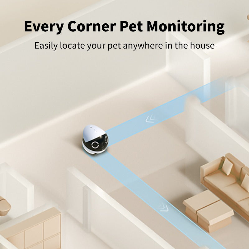 Enabot Official Store-Smart Home Robots, Movable Pet Cameras, Pets ...