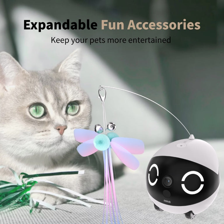 Enabot Official Store-Smart Home Robots, Movable Pet Cameras, Pets ...