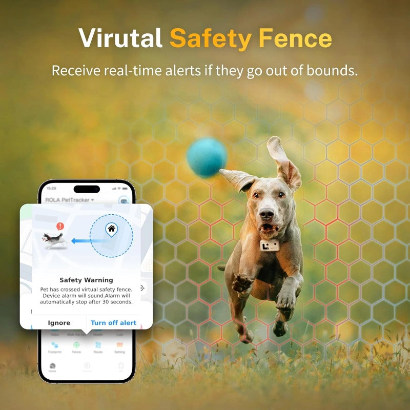 ROLA PetTracker: GPS Collar Cam & Virtual Fence–Enabot Store