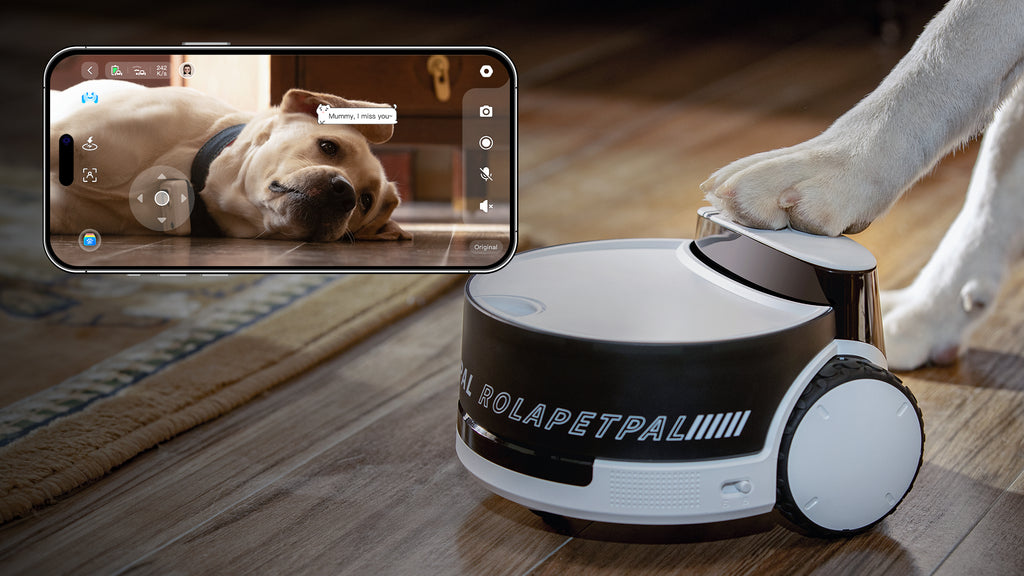 Support HOME – Enabot Store