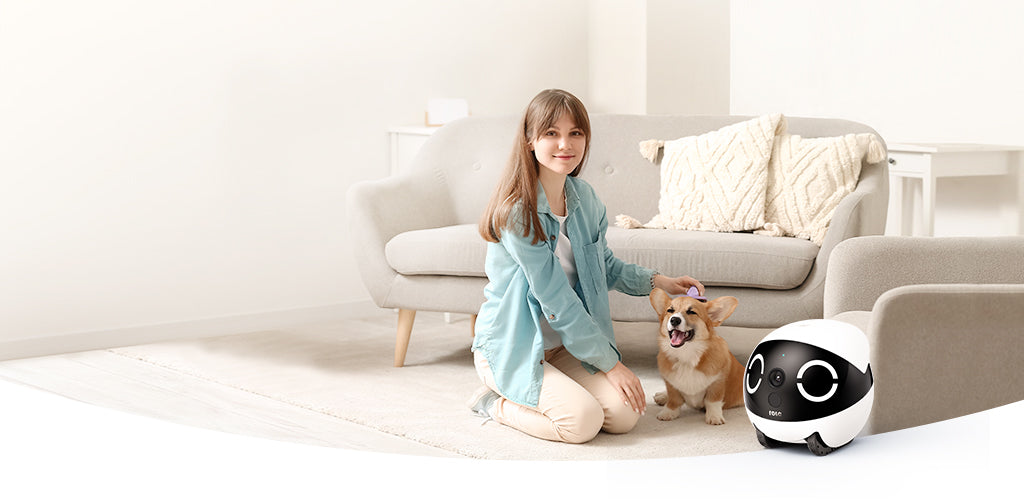 Support - ROLA Mini – Enabot Store