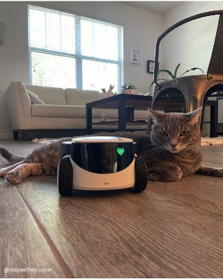 Enabot - Advanced AI Guardian Robots for Family and Pet – Enabot Store