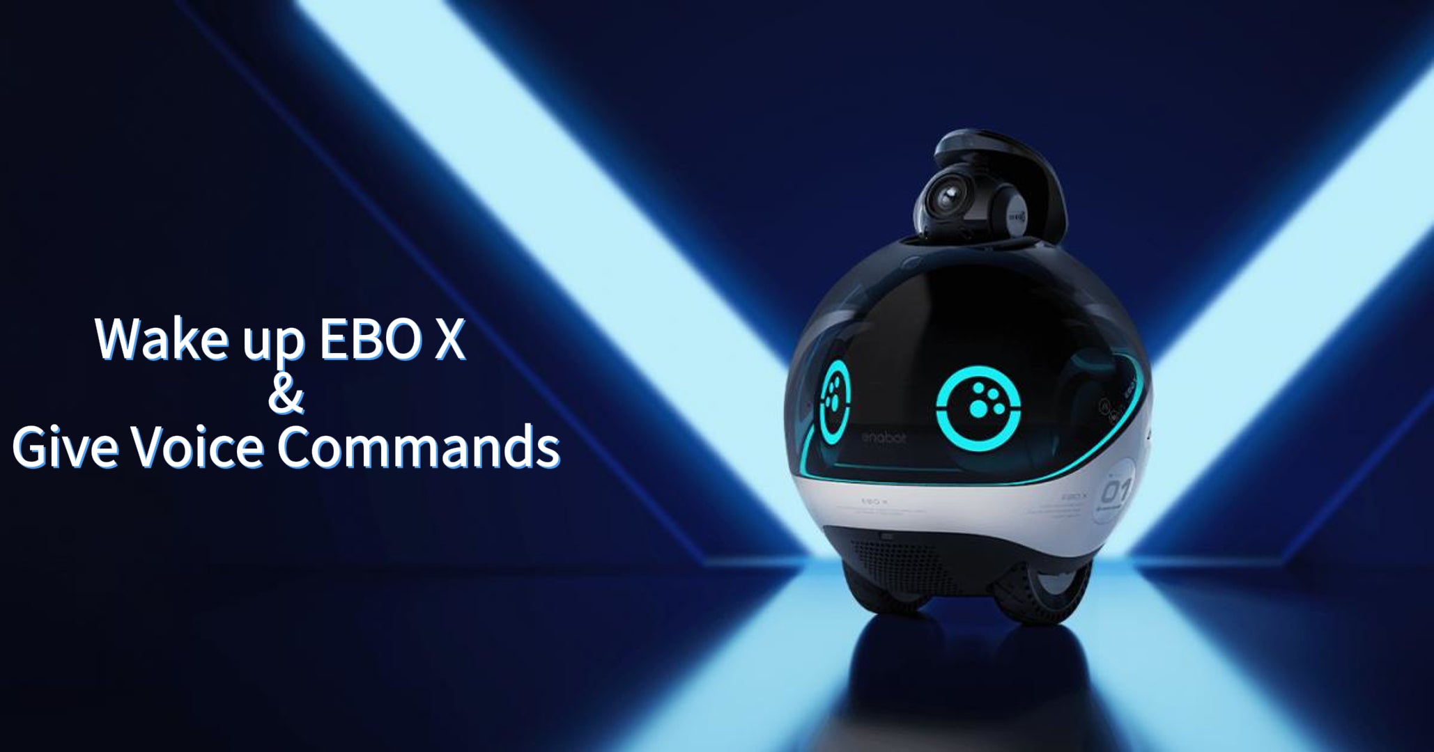 Support - EBO X – Enabot Store