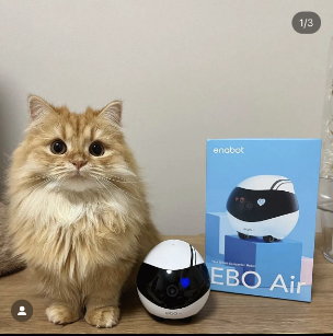 Enabot - Advanced AI Guardian Robots for Family and Pet – Enabot Store