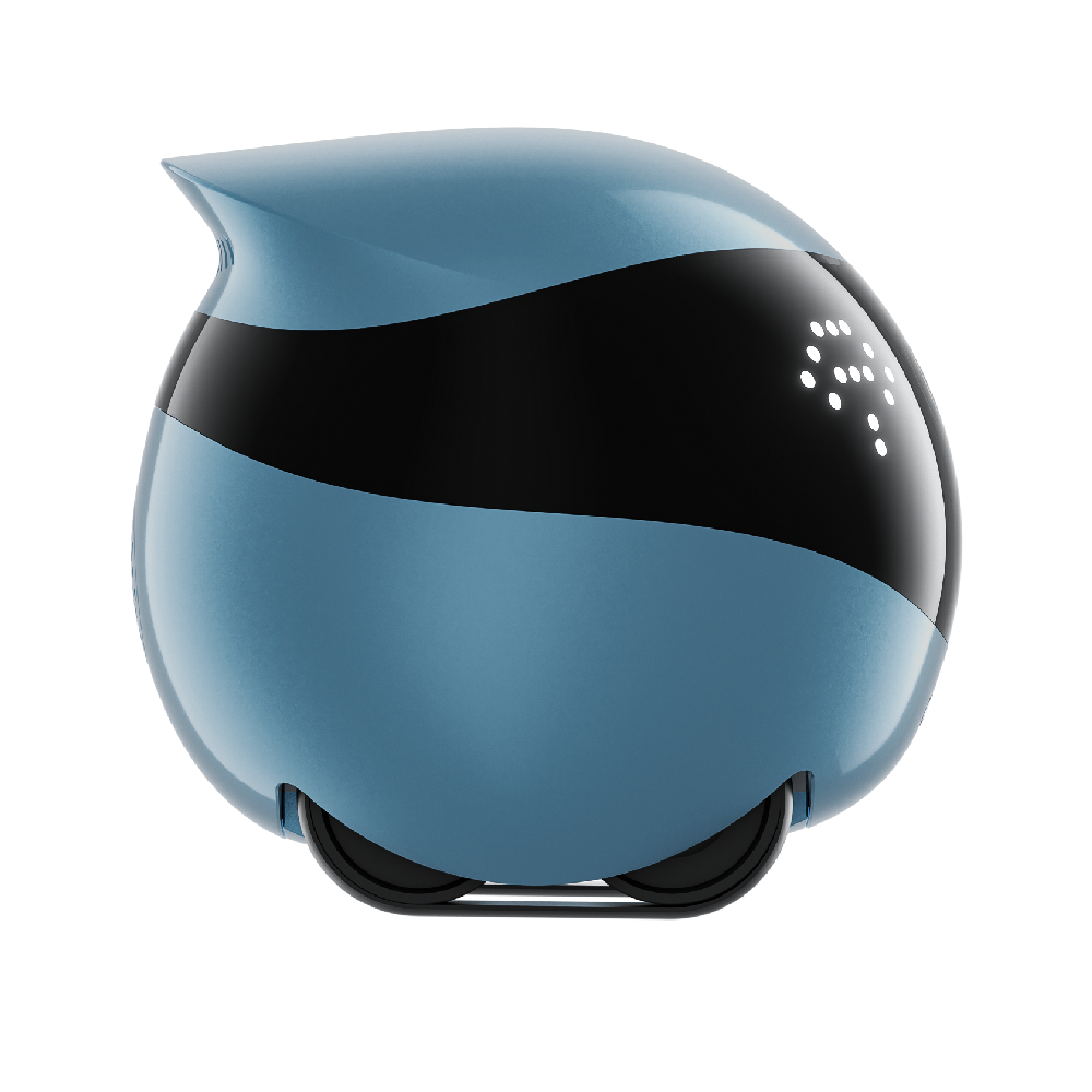 Enabot - Advanced AI Guardian Robots for Family and Pet – Enabot Store