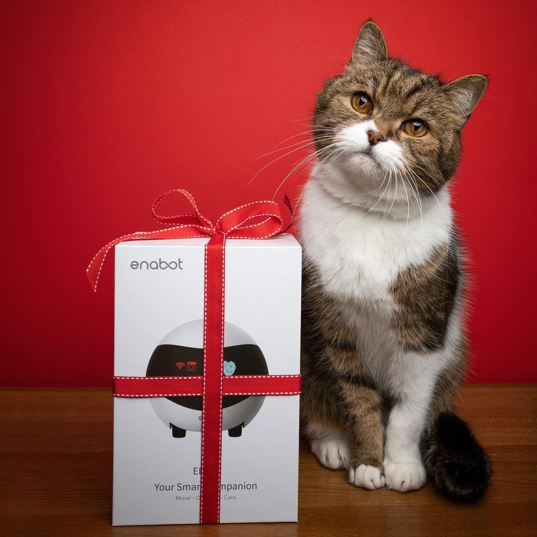 Enabot - Advanced AI Guardian Robots for Family and Pet – Enabot Store