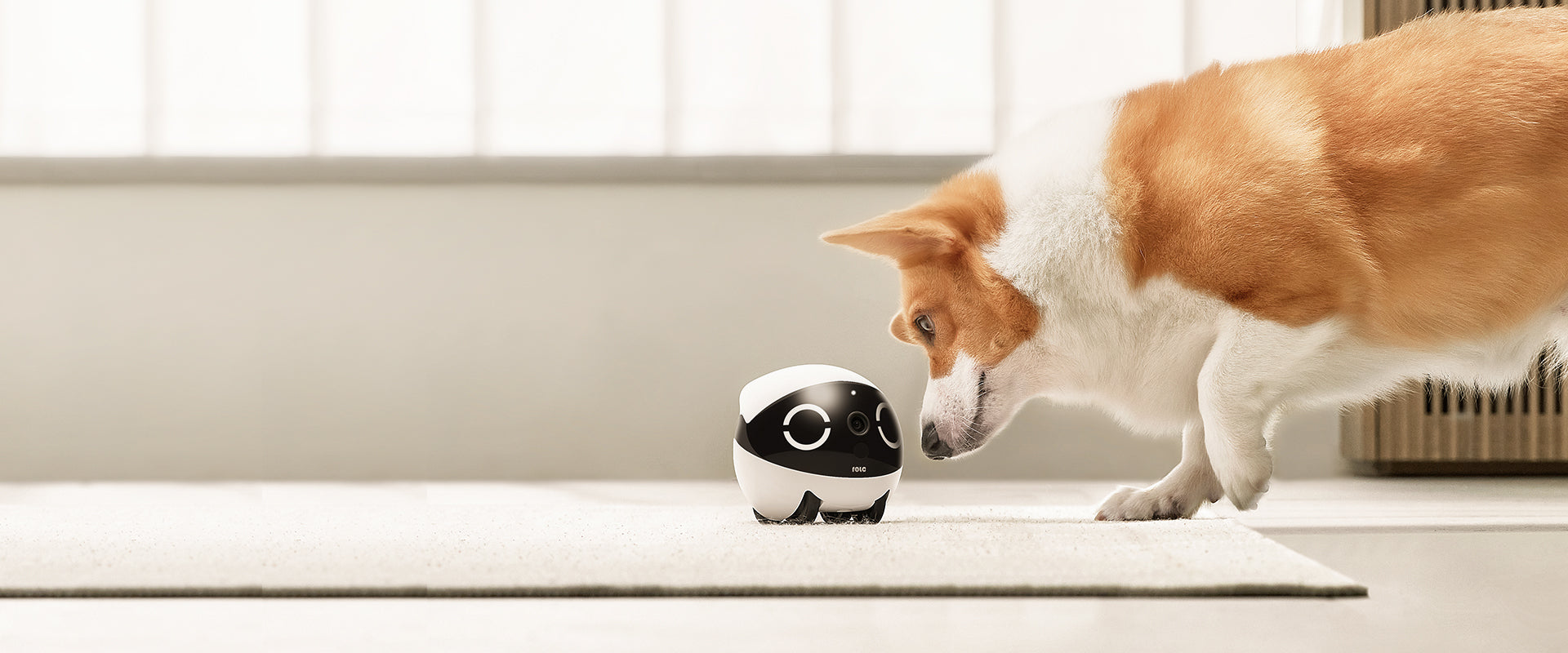 ROLA Mini 2K Movable Pet Camera-2 Way Communication With One Tap ...